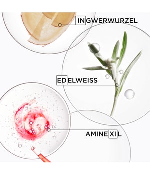 Kérastase Genesis Discovery Set Haarpflegeset online kaufen