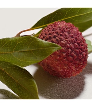 Chloé Chloé Körpercreme online kaufen