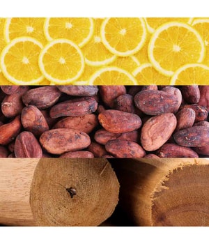 Calvin Klein ck IN2U For Him Eau de Toilette online kaufen