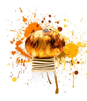 THoO THoO Just Before Eau de Parfum online kopen